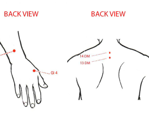 Manual Lymphatic Drainage From Northcote Chiropractic